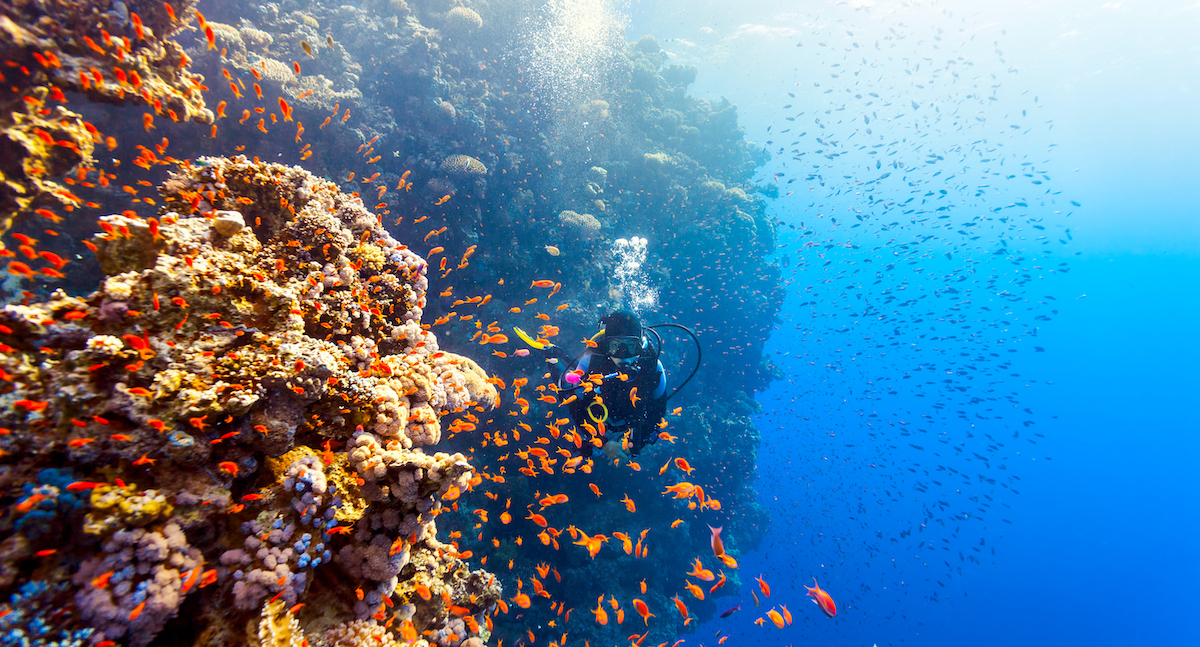 11 Mind-Blowing Facts About Our Oceans