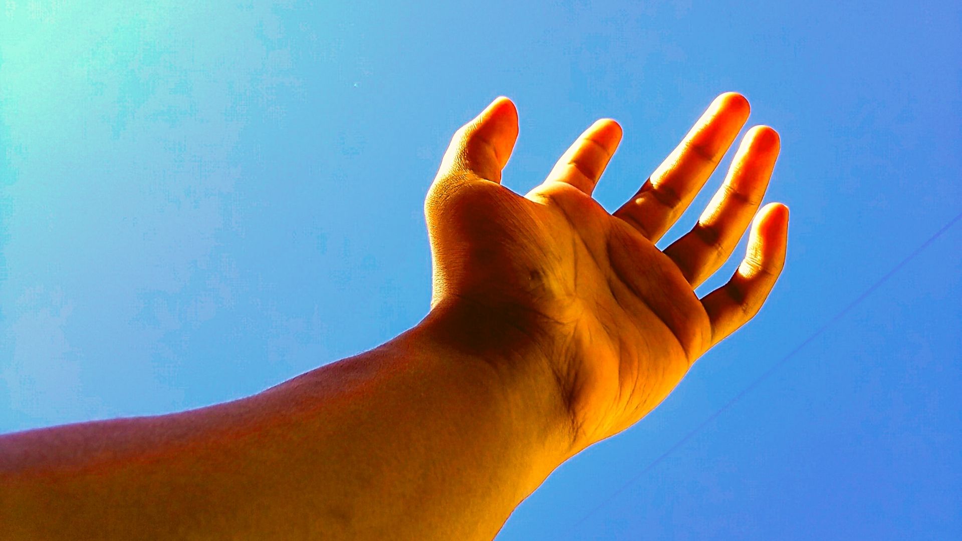 Scientists Say Humans May be Able to Grow Another Limb | IE