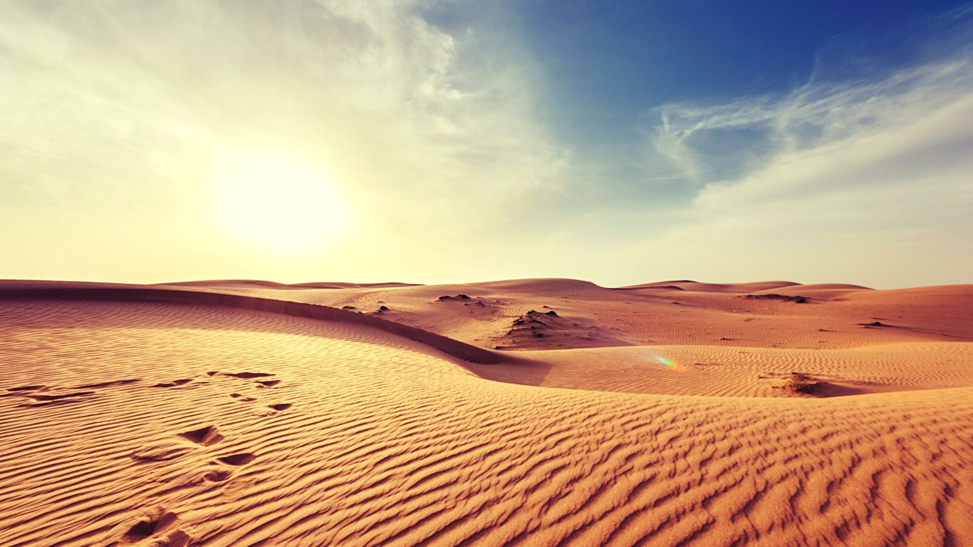 A Revolutionary Material Can Make Water Out of Air | IE