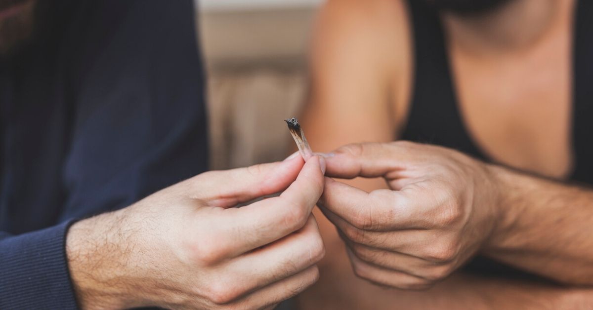 University Students Smoke More and More Marijuana in Legalized States ...