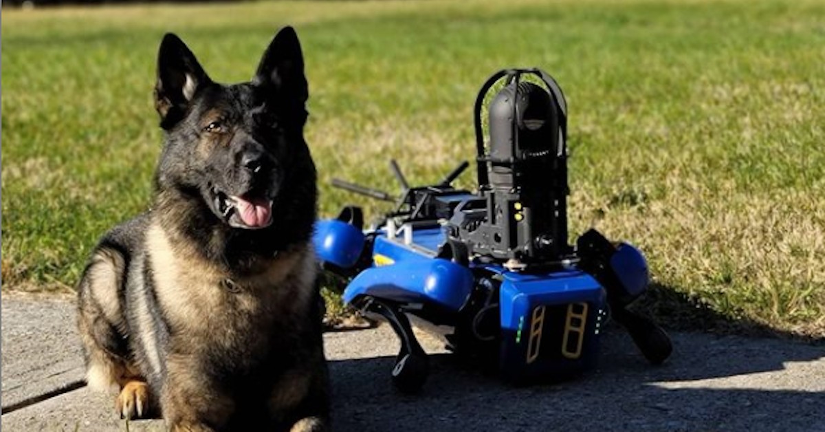 NYPD Recruits Digidog - New Robot Dog with Extendable Arm | IE