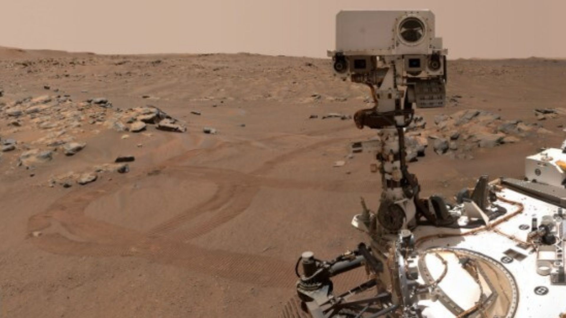 What has NASA Perseverance rover been up to?