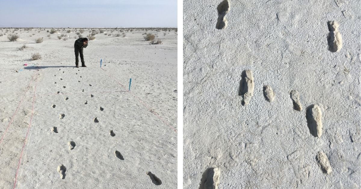 10,000-Year-Old Tracks Reveal A Perilous Journey | IE