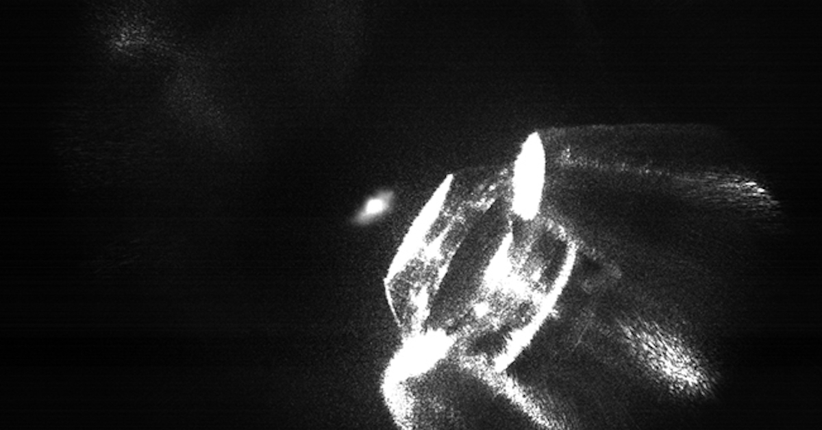 In a Ground-Breaking First, Physicists Manage to Hold Individual Atoms