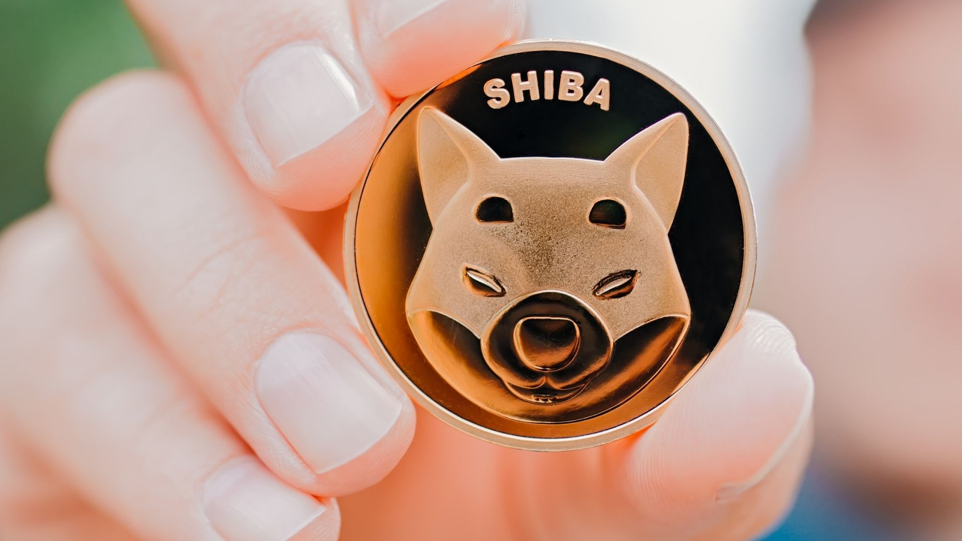 Early Shiba Inu Investor's $8k Is Now $5.7Bn, But Can They Cash Out?