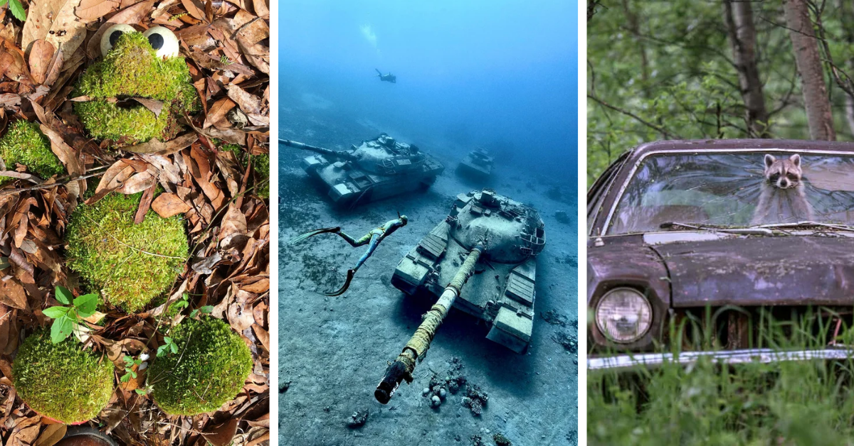 19 Stunning Images of Abandoned Things Being Reclaimed by Nature