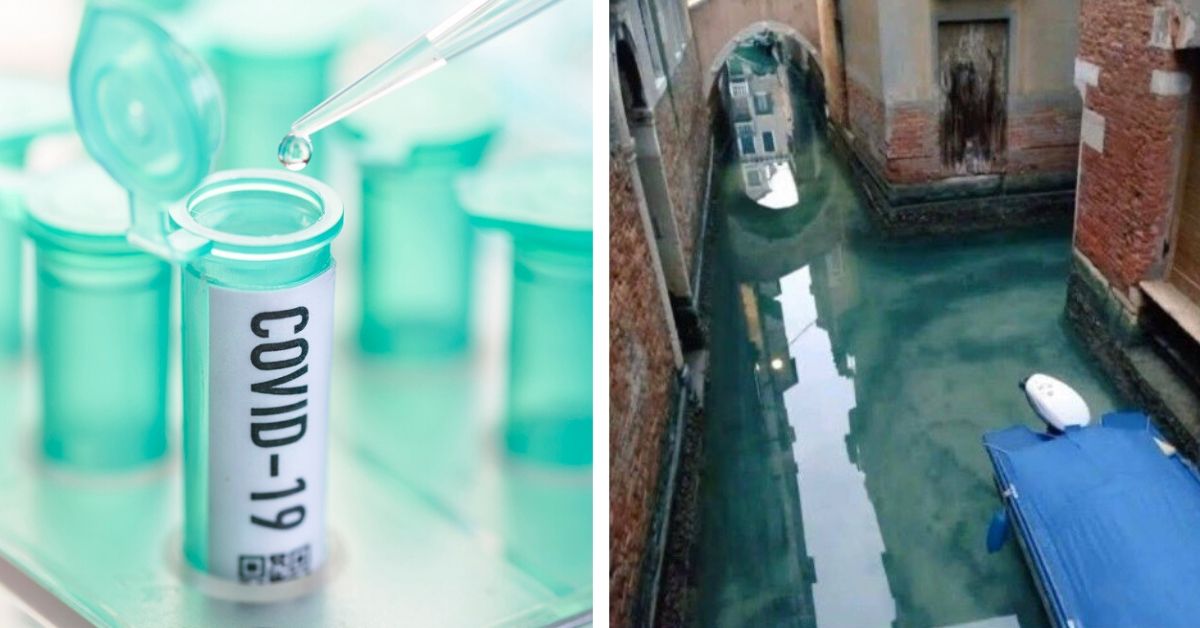 7 Positive Coronavirus Stories and Developments to Help You Lighten Up