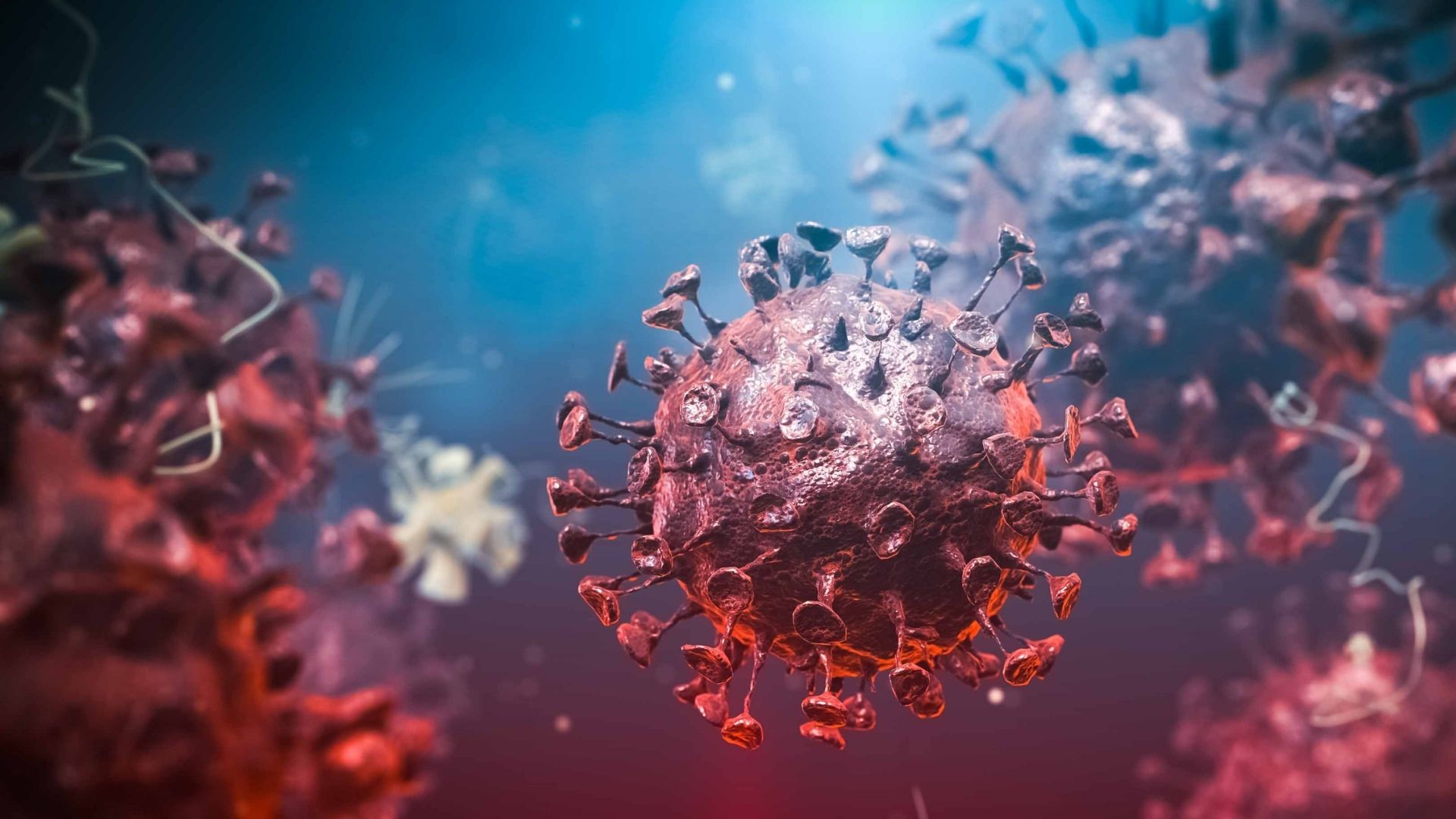 Scientists identified how dog coronavirus jumps to humans