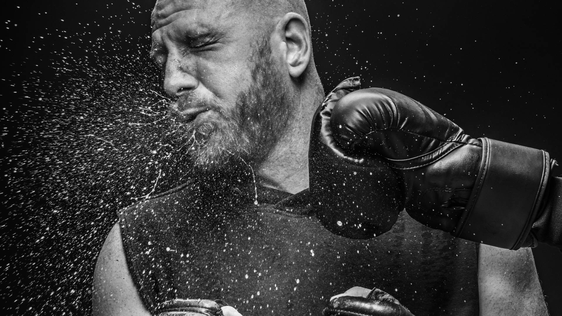 The Ig Nobels Are Back With Cat Purr and Inverted Rhino Studies