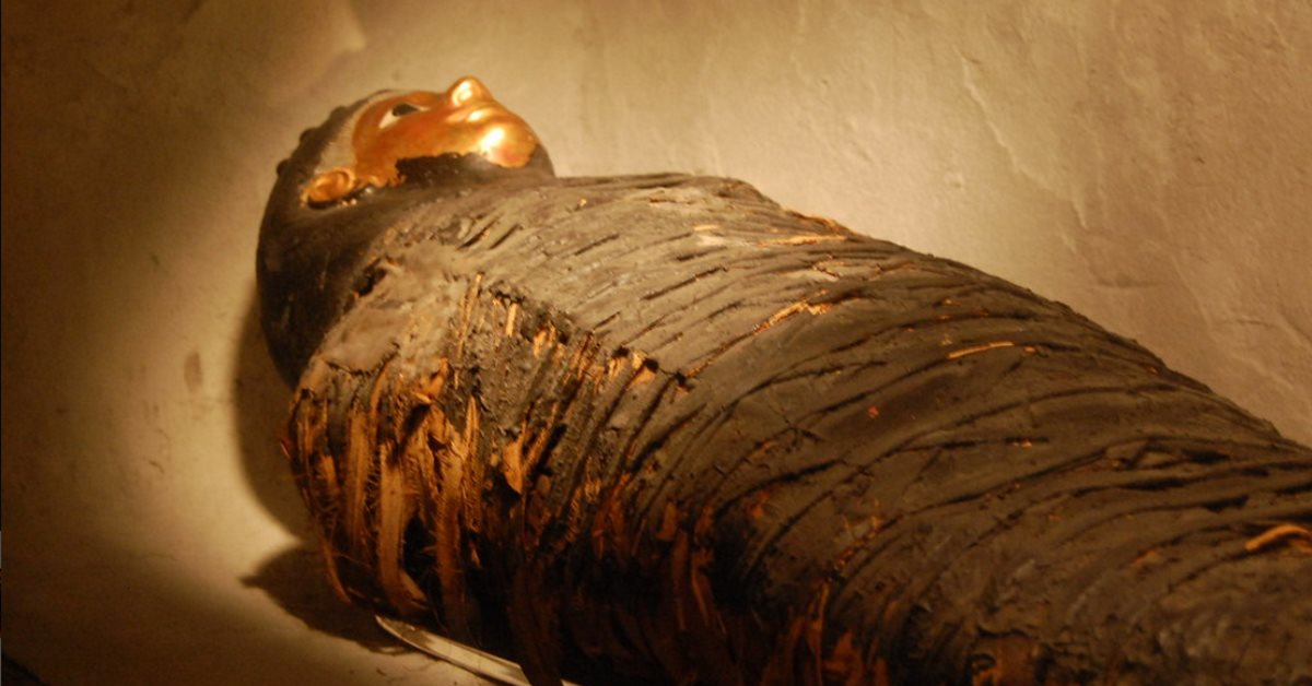 The Unusual Mummification Examples Reflect the Craze for the Afterlife ...