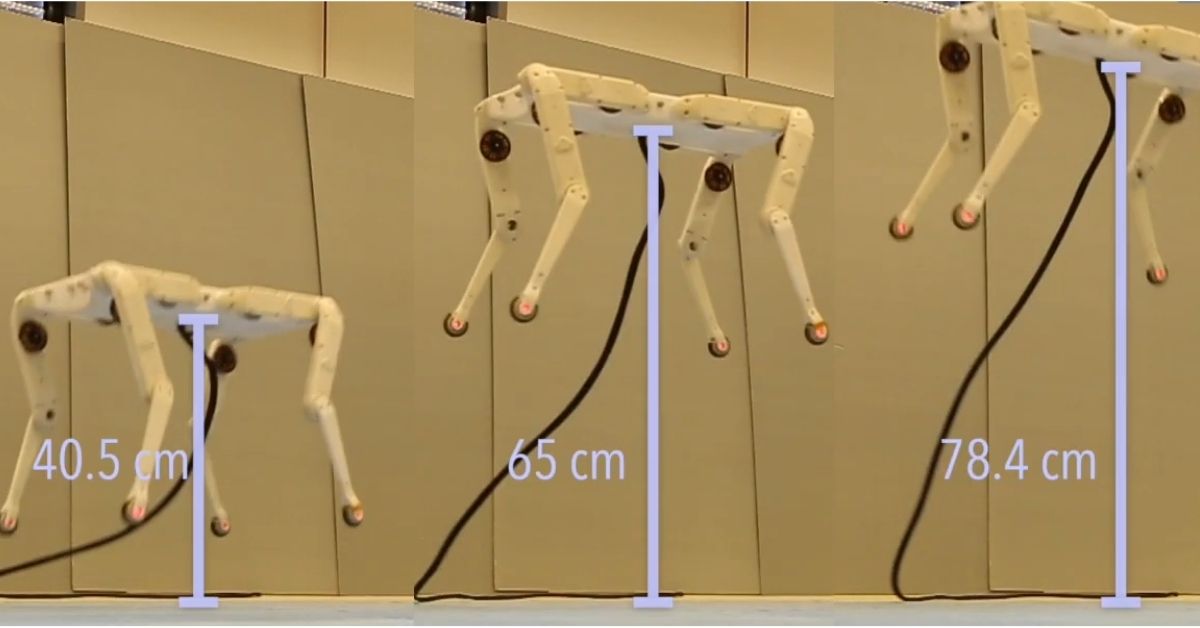 Scientists Teach Jumping Robots to Learn from Failures | IE