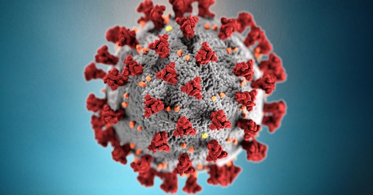 It Takes Two: COVID-19 Coronavirus Possibly 'Chimera' of Two Distinct ...
