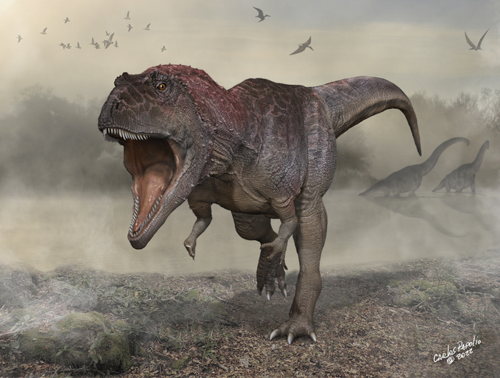 Newly discovered Meraxes gigas dinosaur is 30 million years older than ...