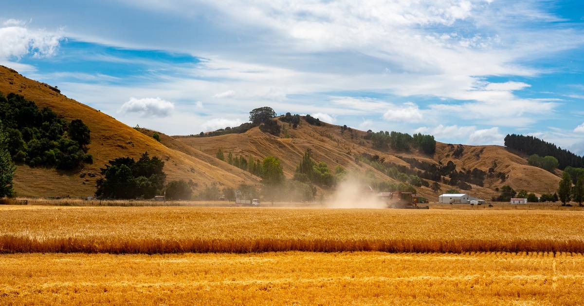 New Study Reveals That the Same Amount of Food Can Be Produced with ...