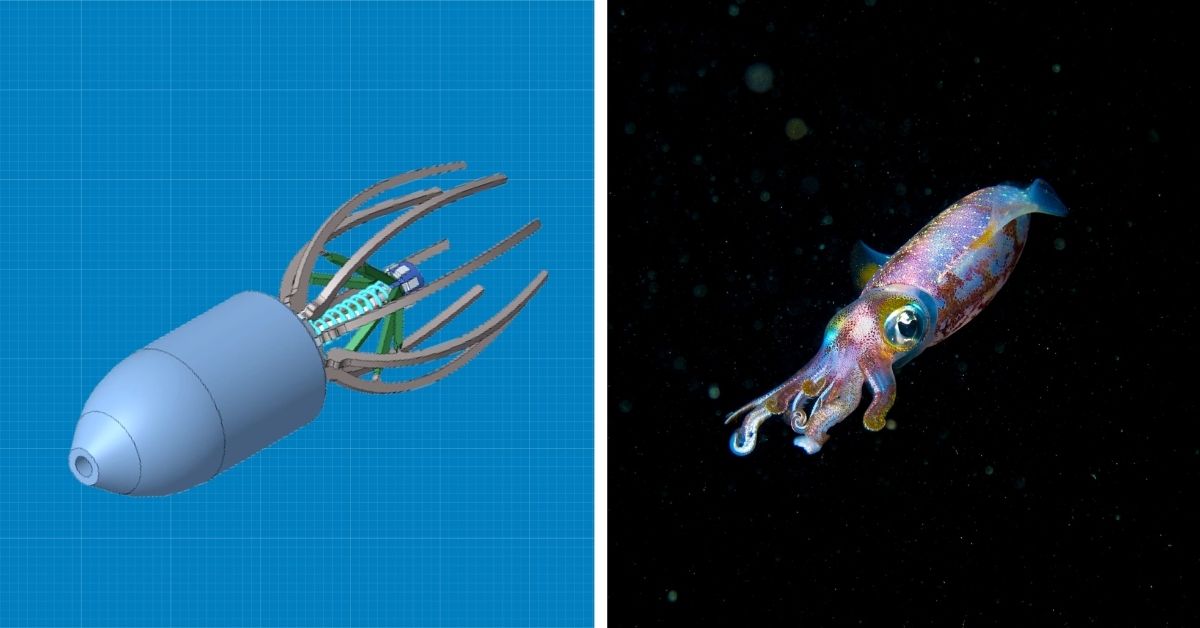 Squid-Inspired Robot Mimics Efficiency of Sea Creatures
