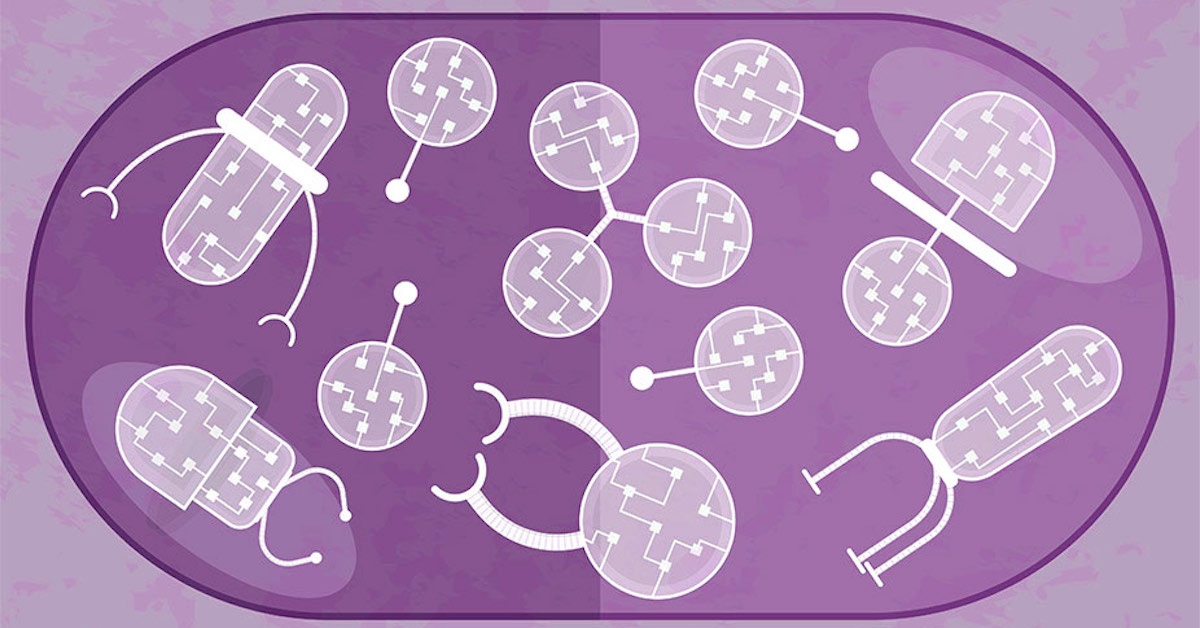 Researcher Receives £1.25 Million to Create 'Living' Materials