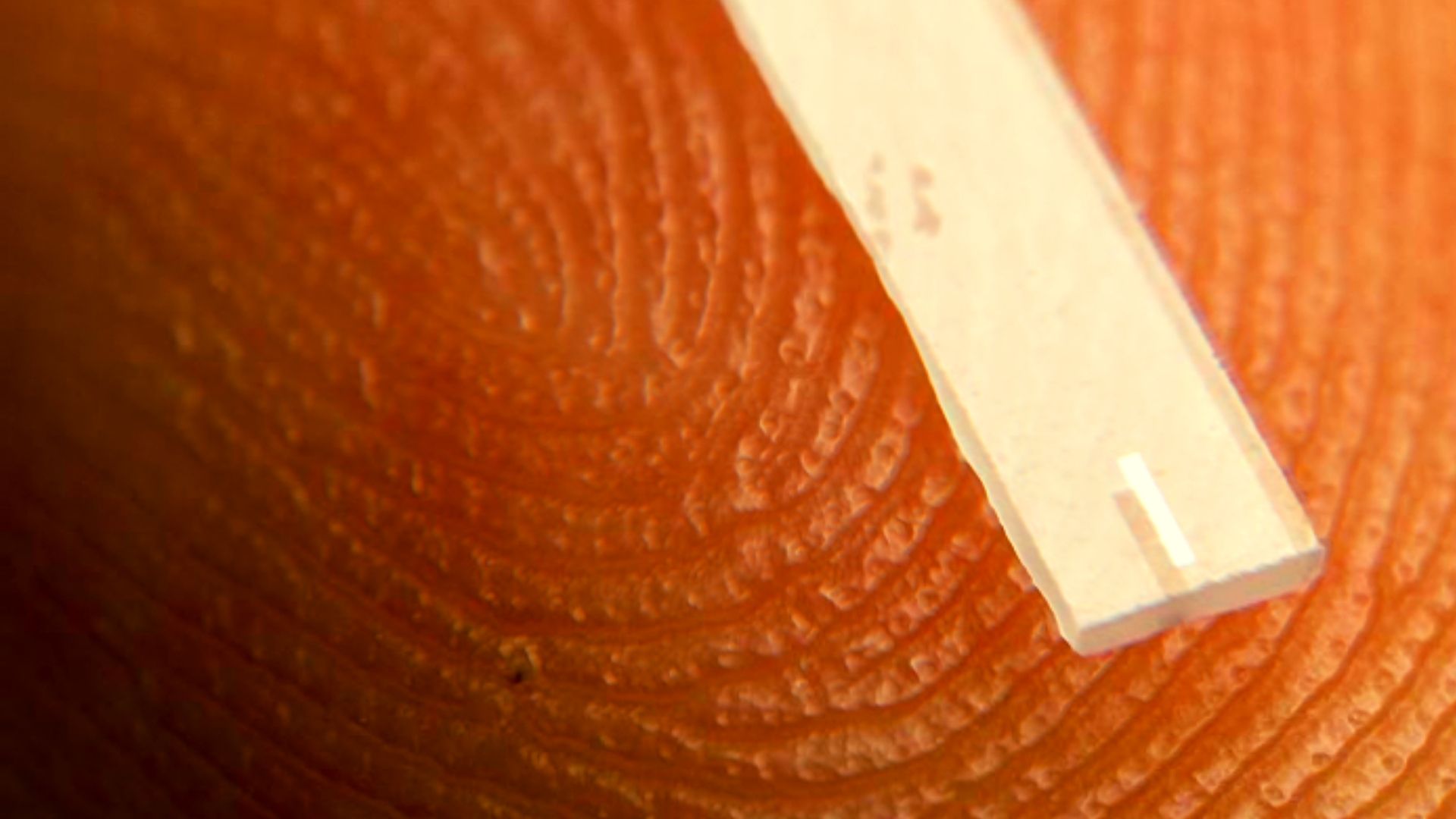 Physicists Developed a Technique to Detect Dark Matter | IE