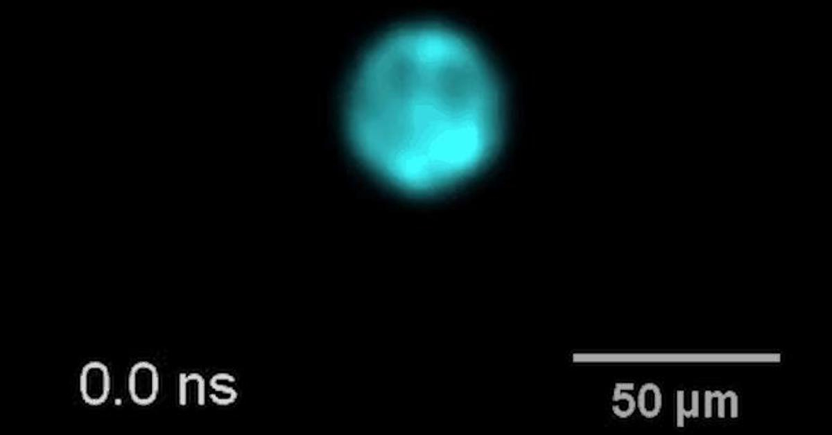 World's Fastest Camera Can Now Also Capture Transparent Objects and ...